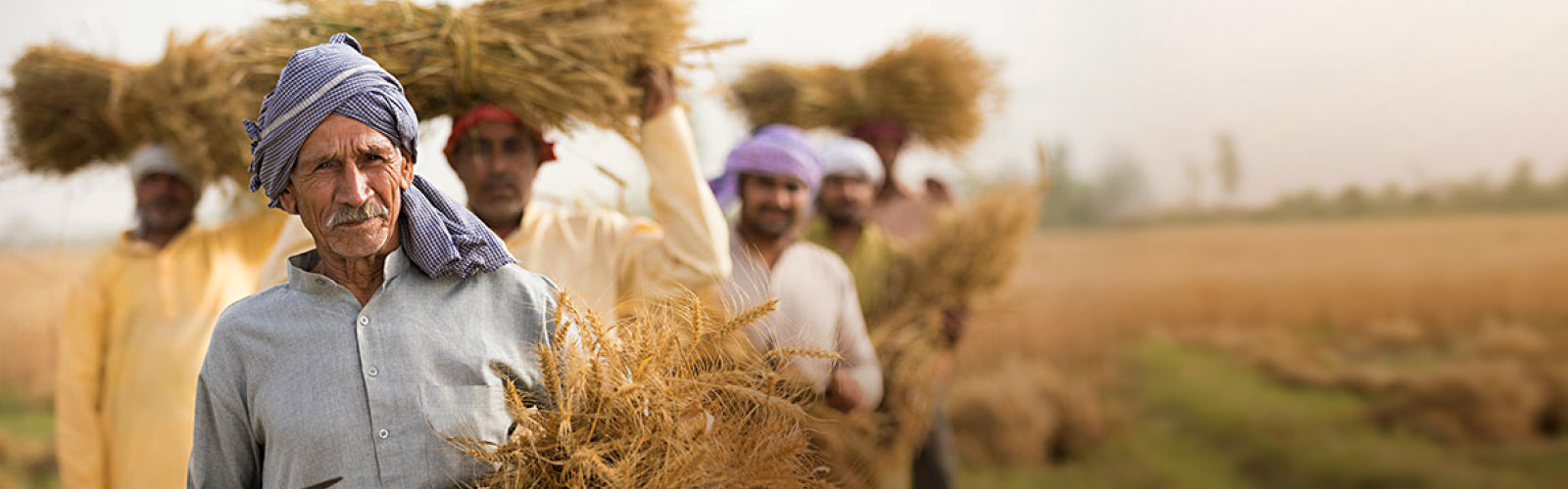 StarBazaar Best Grocery Home Delivery Supermarket in Hyderabad – Star ...